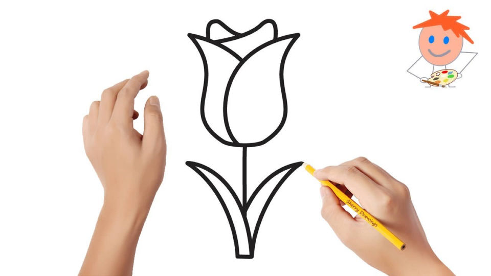 25 Easy Tulip Drawing Ideas - How to Draw a Tulip