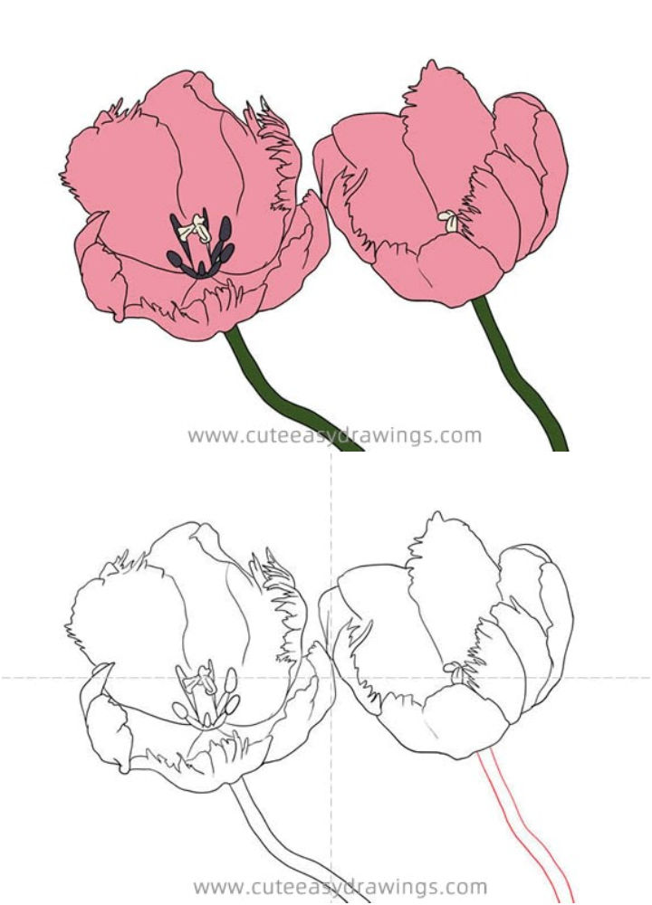 25 Easy Tulip Drawing Ideas - How to Draw a Tulip