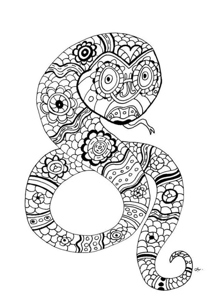 25 Free Snake Coloring Pages for Kids and Adults