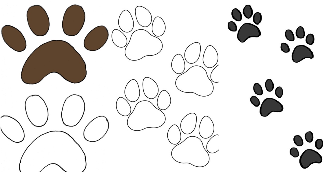 25 Easy Paw Print Drawing Ideas - How to Draw