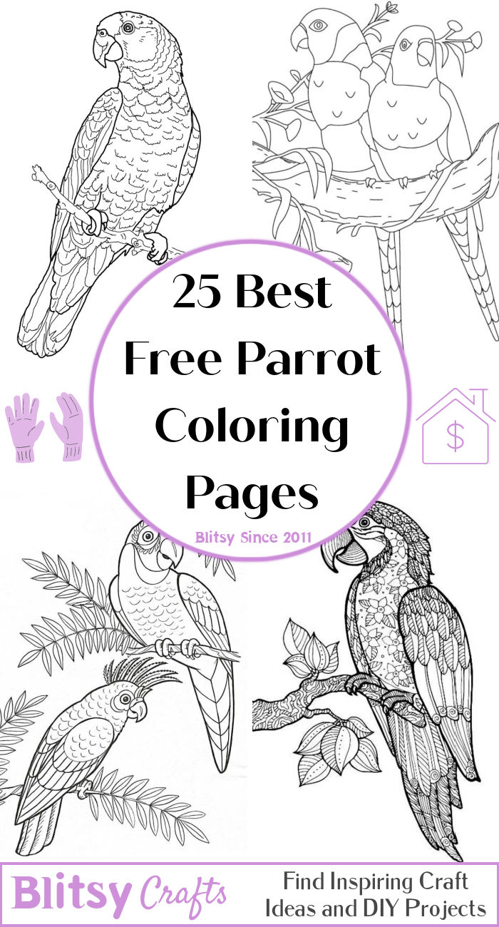 25 Free Parrot Coloring Pages for Kids and Adults