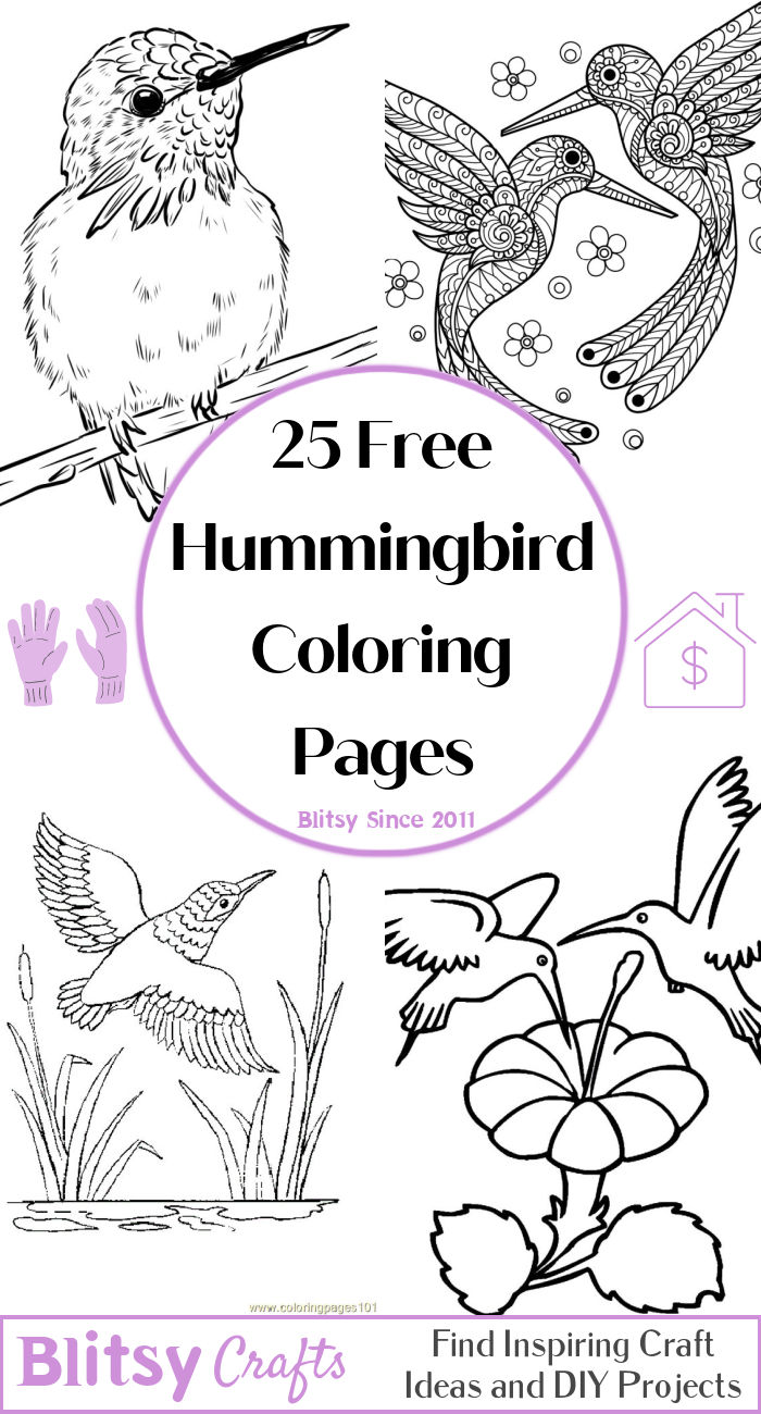 25 Free Hummingbird Coloring Pages for Kids and Adults