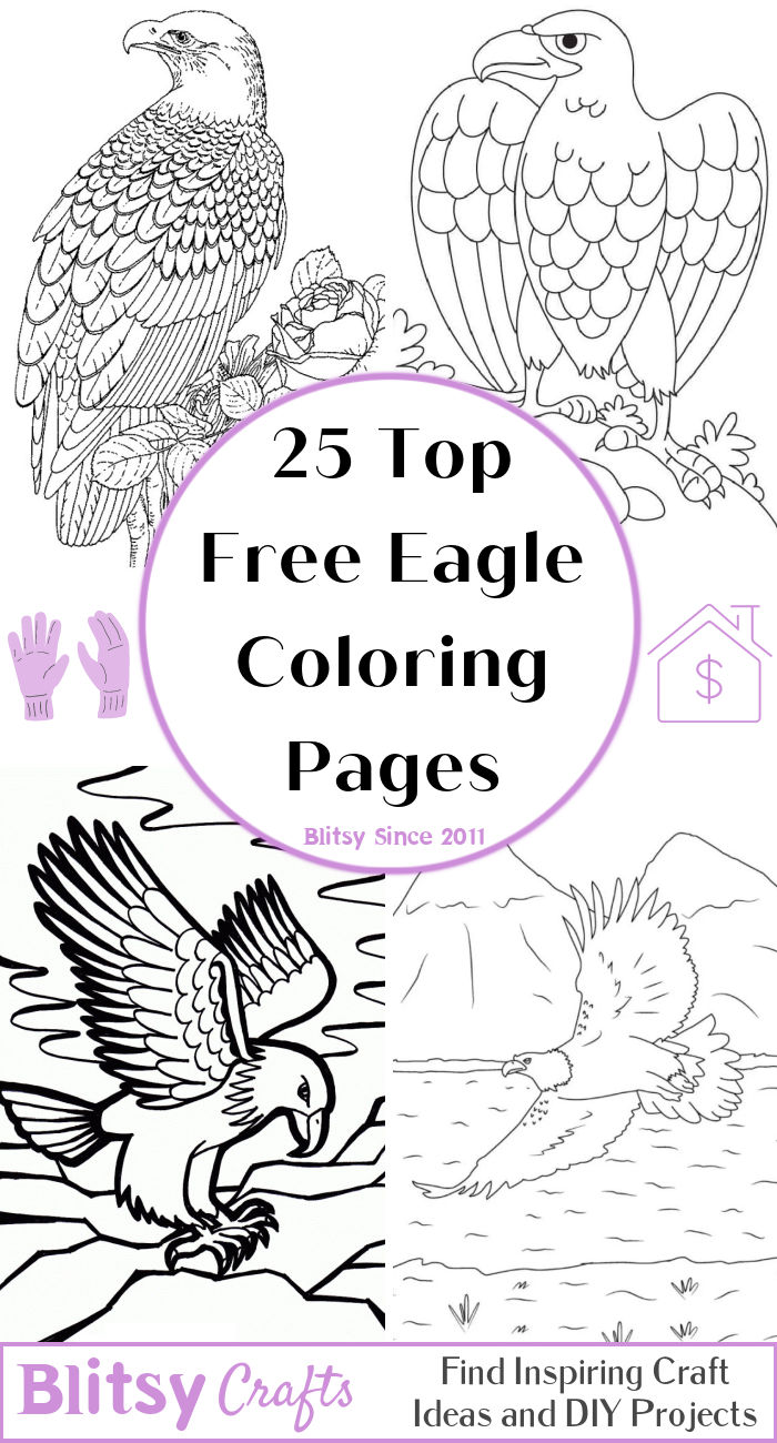 25 Free Bald Eagle Coloring Pages for Kids and Adults