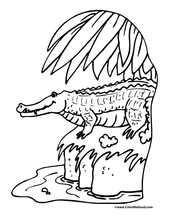 25 Free Alligator Coloring Pages for Kids and Adults