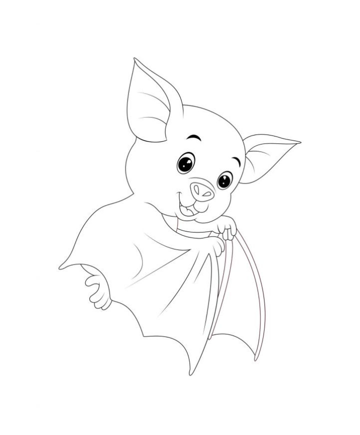 25 Free Bat Coloring Pages for Kids and Adults