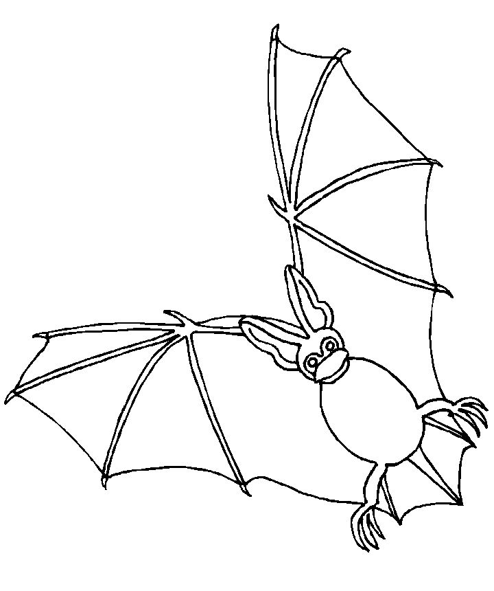 25 Free Bat Coloring Pages for Kids and Adults