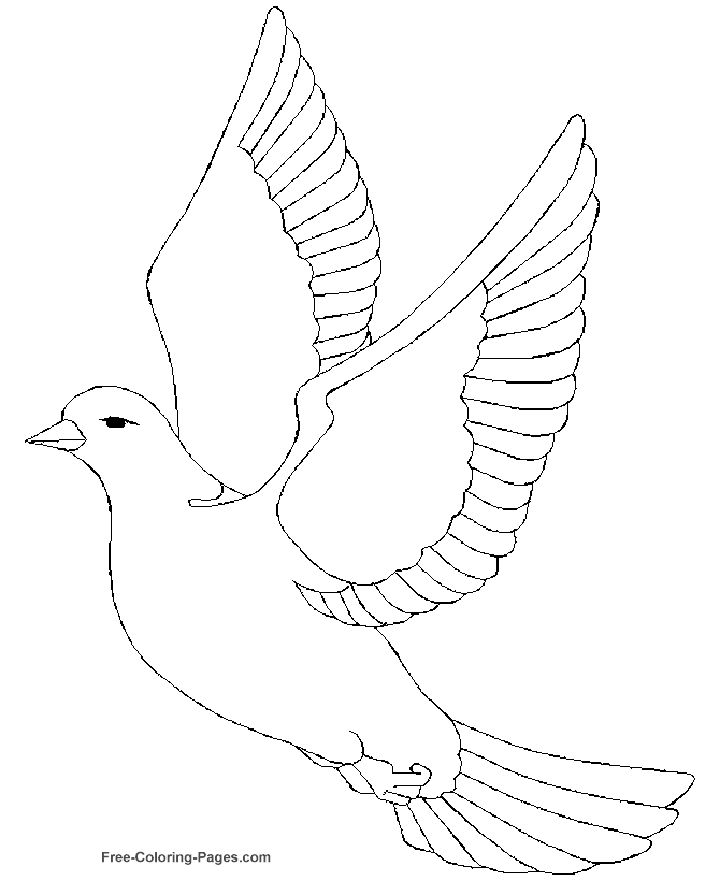 25 Free Bird Coloring Pages for Kids and Adults
