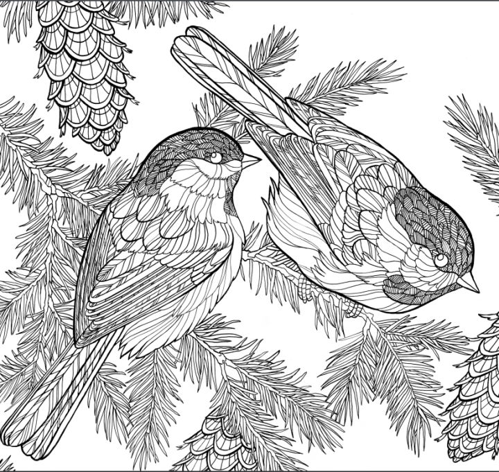 25 Free Bird Coloring Pages for Kids and Adults