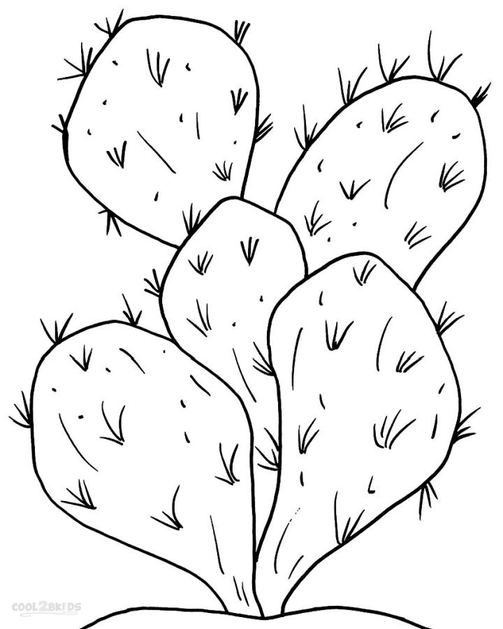 15 Free Cactus Coloring Pages for Kids and Adults