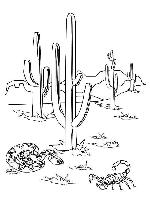 15 Free Cactus Coloring Pages for Kids and Adults