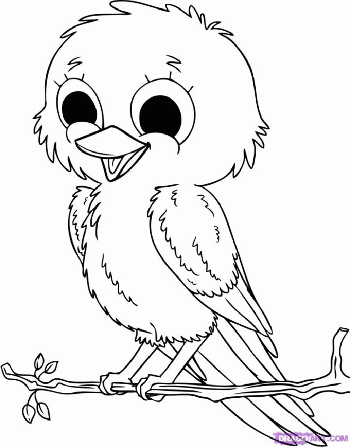 25 Free Bird Coloring Pages for Kids and Adults