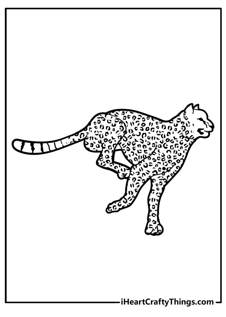 25 Free Cheetah Coloring Pages for Kids and Adults