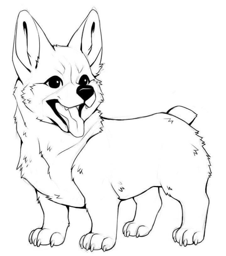 20 Cute Corgi Coloring Pages (Free Printable) - Blitsy