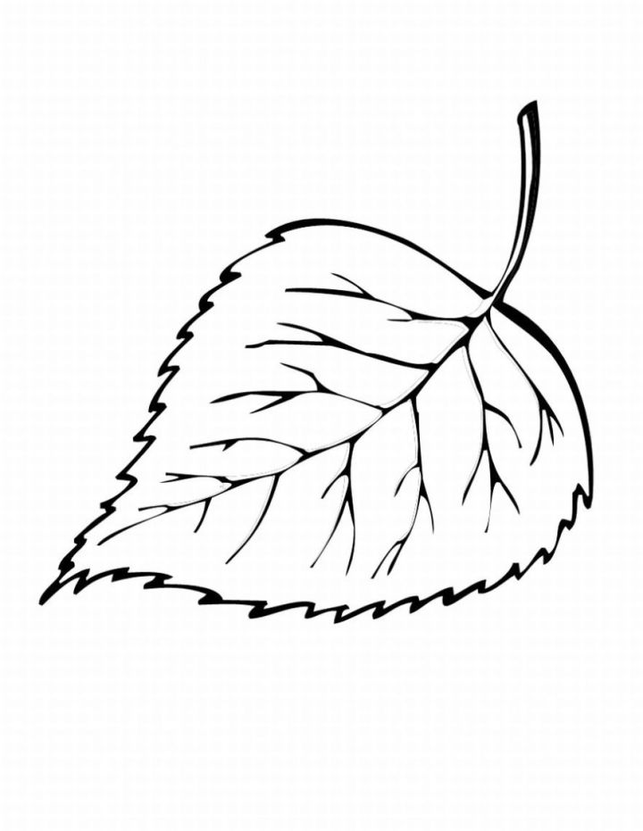 25 Free Leaf Coloring Pages for Kids and Adults
