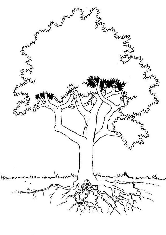 25 Free Tree Coloring Pages for Kids and Adults