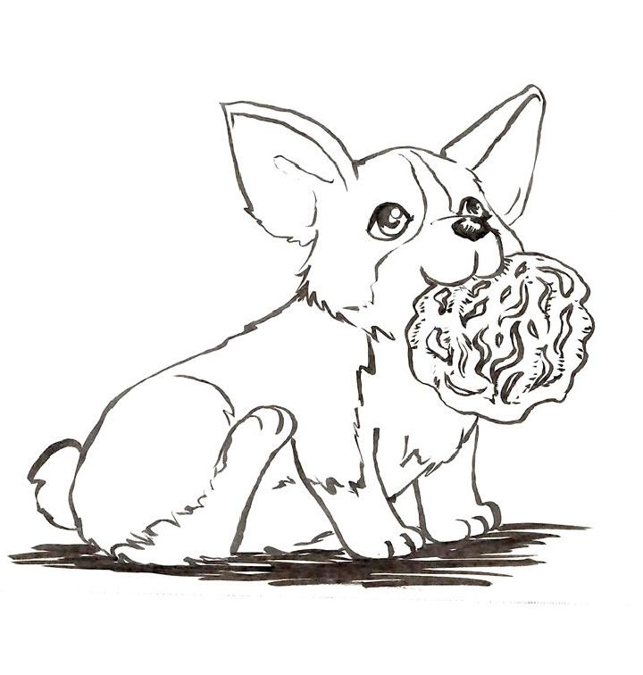 20 Cute Corgi Coloring Pages (Free Printable) - Blitsy