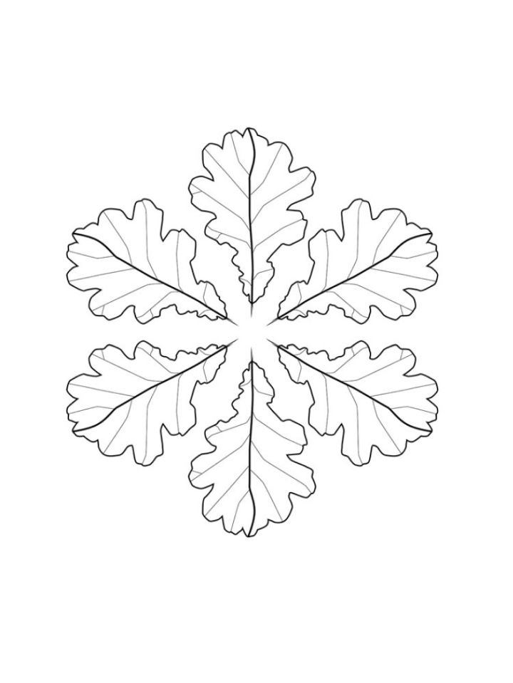 25 Free Leaf Coloring Pages for Kids and Adults
