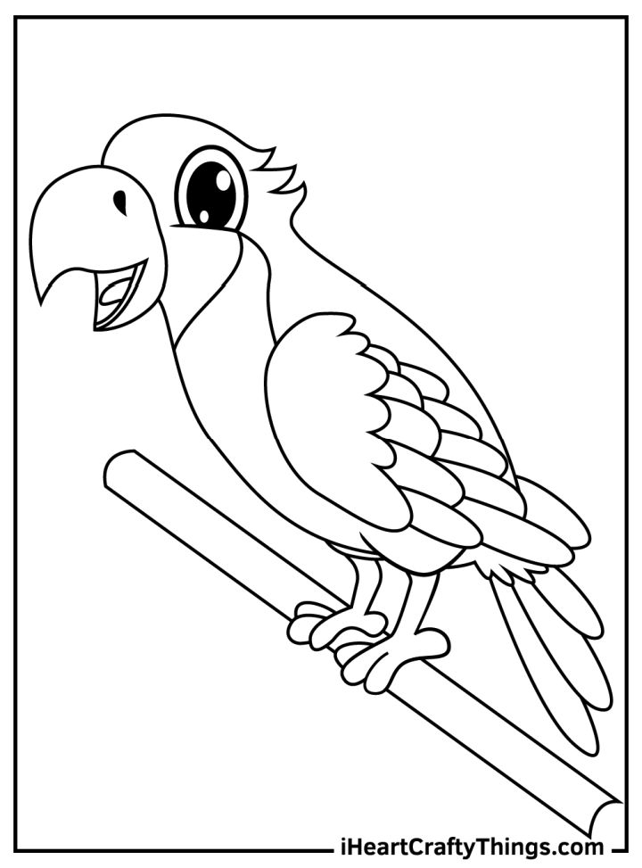 25 Free Parrot Coloring Pages for Kids and Adults