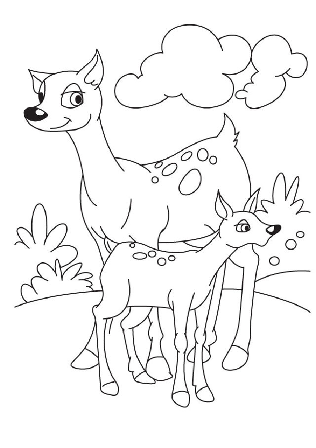 25 Free Printable Deer Coloring Pages for Kids - Blitsy
