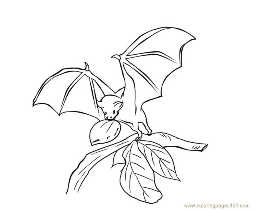25 Free Bat Coloring Pages for Kids and Adults