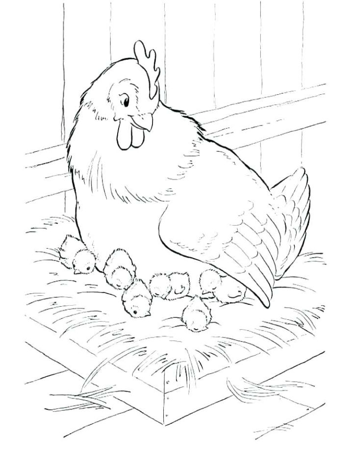 25 Free Bird Coloring Pages for Kids and Adults