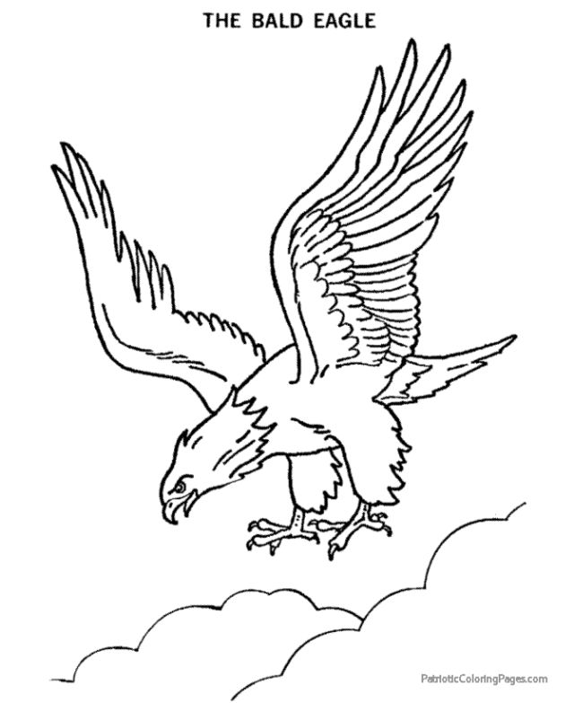 25 Free Bald Eagle Coloring Pages for Kids and Adults