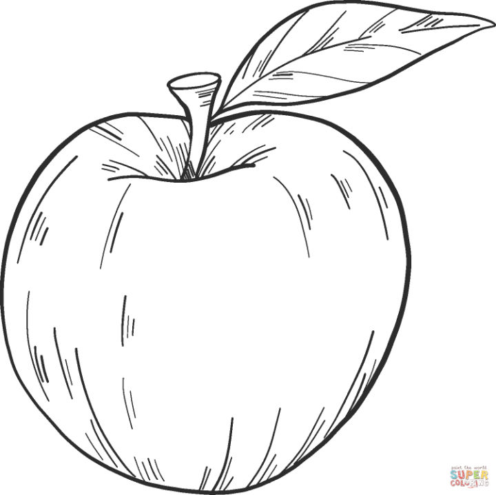 20 Free Apple Coloring Pages for Kids and Adults
