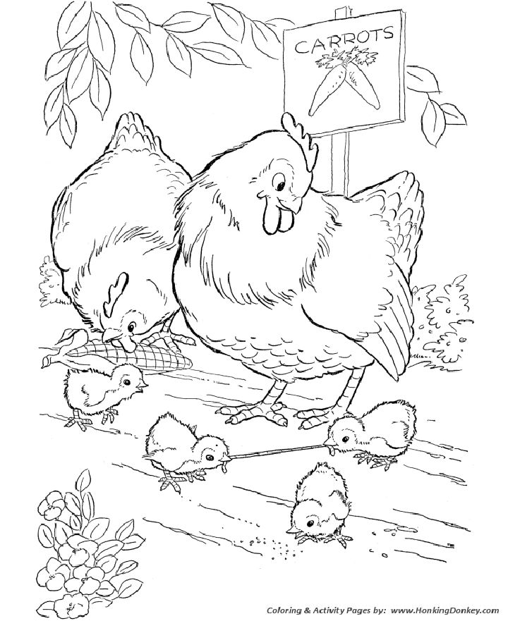 20 Free Chicken Coloring Pages for Kids and Adults - Blitsy