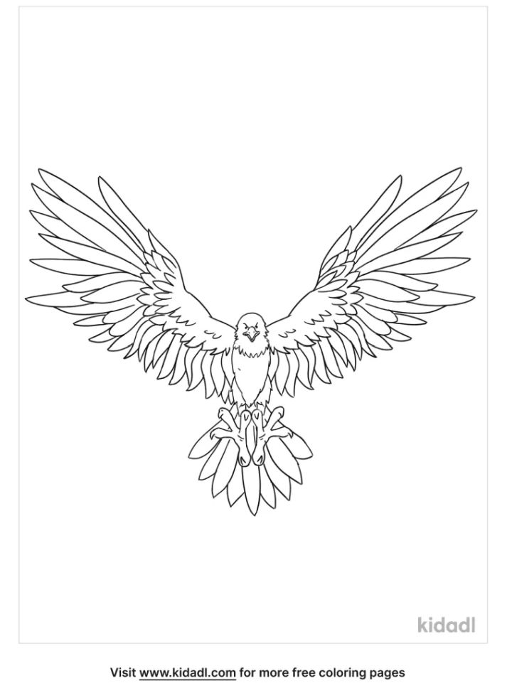 25 Free Bald Eagle Coloring Pages for Kids and Adults