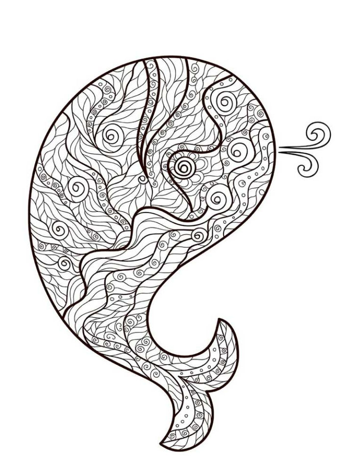 25 Free Whale Coloring Pages for Kids and Adults