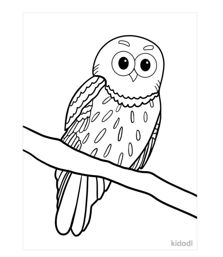 25 Free Owl Coloring Pages for Kids and Adults