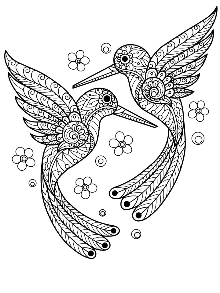 25 Free Hummingbird Coloring Pages for Kids and Adults