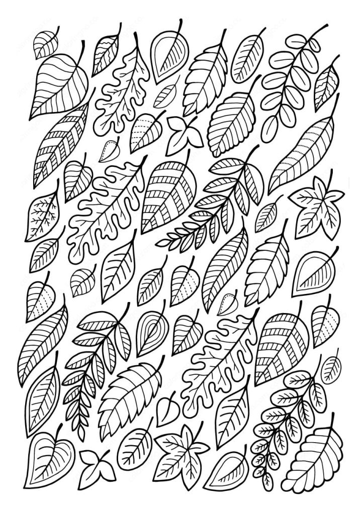 25 Free Leaf Coloring Pages for Kids and Adults