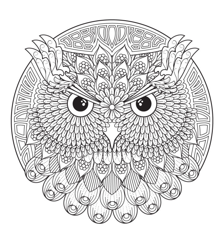 25 Free Owl Coloring Pages for Kids and Adults