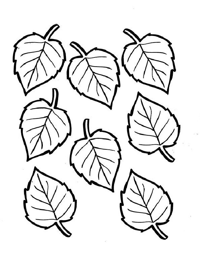 25 Free Leaf Coloring Pages for Kids and Adults