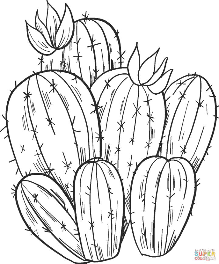 15 Free Cactus Coloring Pages for Kids and Adults