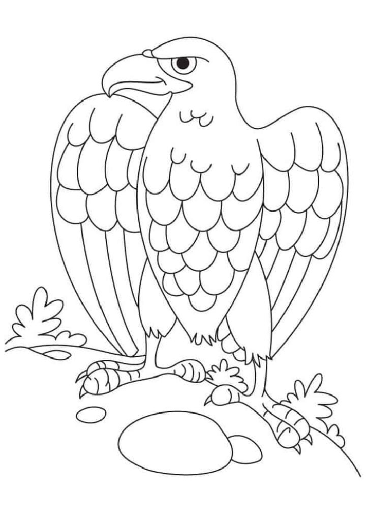 25 Free Bald Eagle Coloring Pages for Kids and Adults