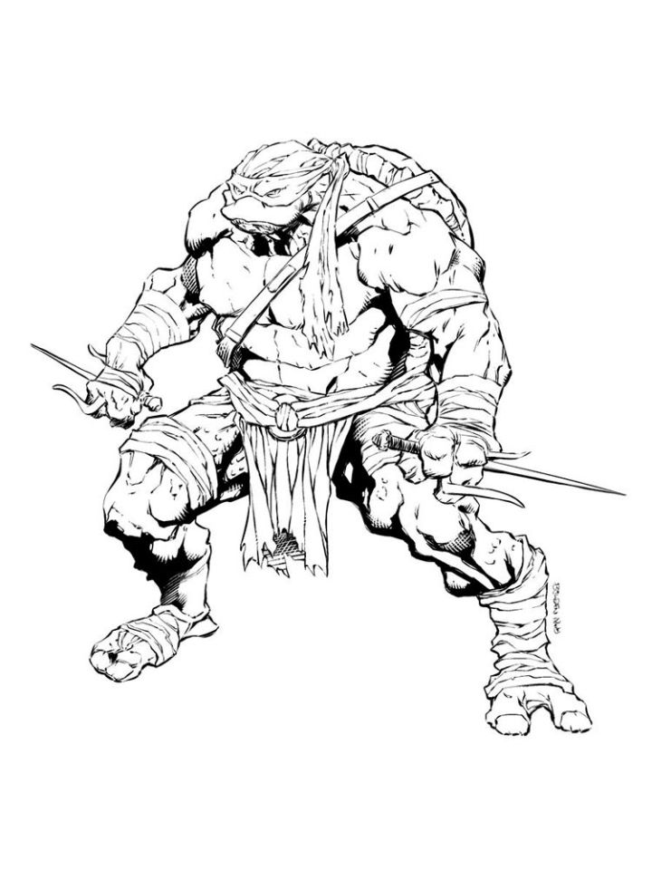 20 Free Ninja Turtle Coloring Pages for Kids and Adults