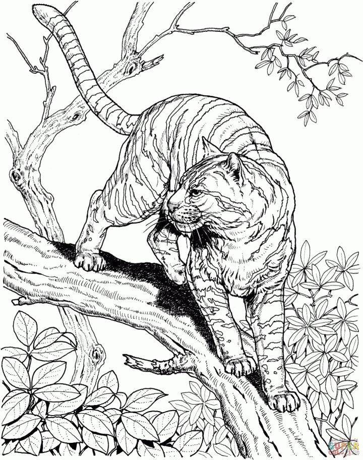 25 Free Jungle Coloring Pages for Kids and Adults