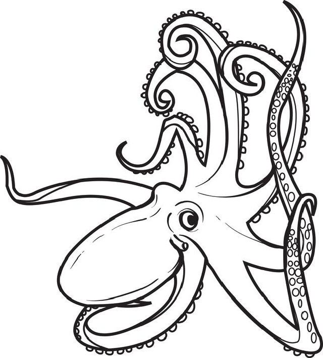25 Free Octopus Coloring Pages for Kids and Adults