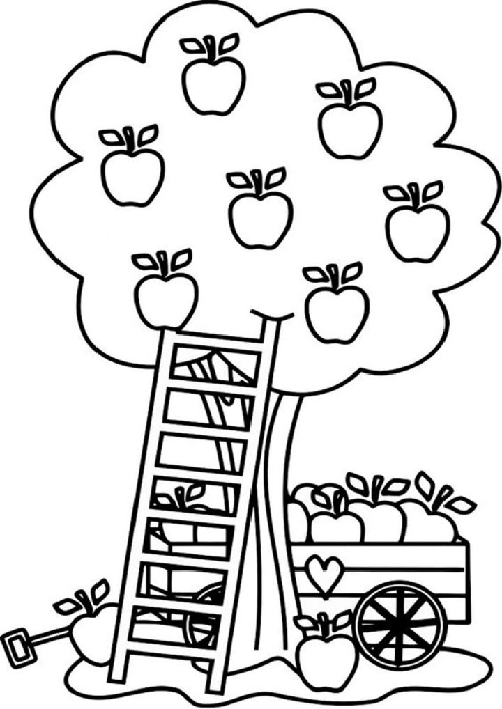25 Free Tree Coloring Pages for Kids and Adults