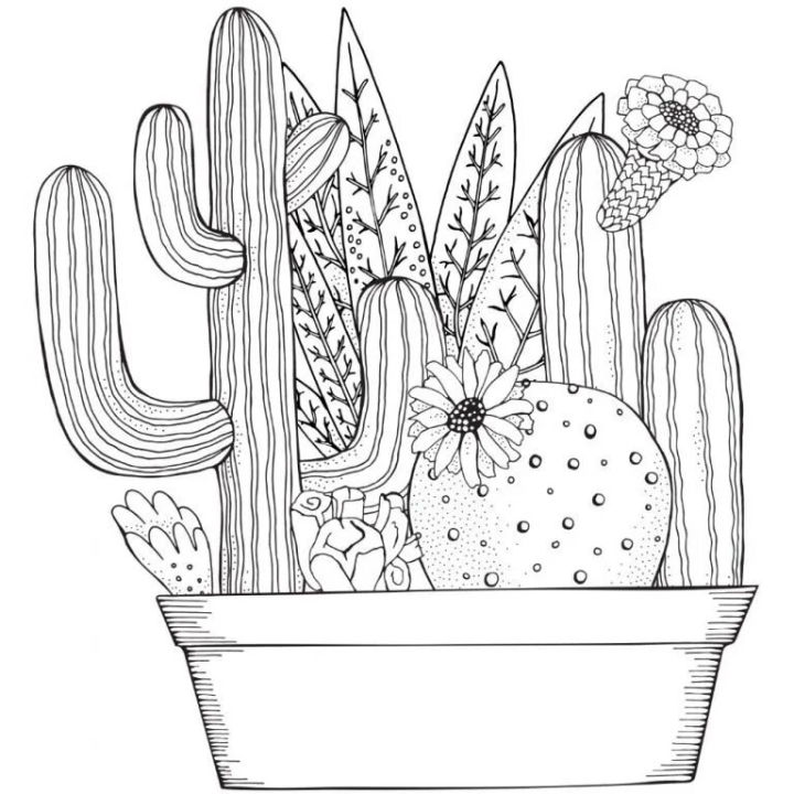 15 Free Cactus Coloring Pages for Kids and Adults