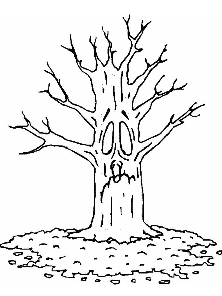 25 Free Tree Coloring Pages for Kids and Adults