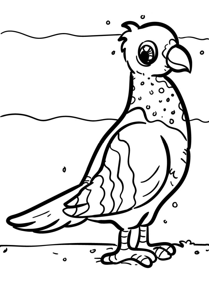 25 Free Bird Coloring Pages for Kids and Adults