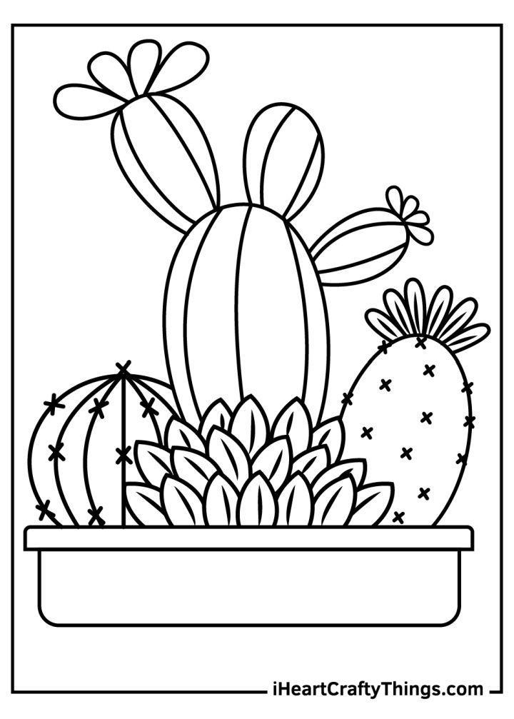 15 Free Cactus Coloring Pages for Kids and Adults
