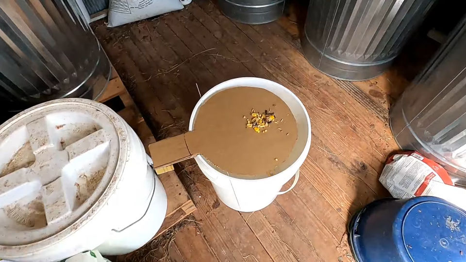 Homemade DIY Mouse Trap - Blitsy