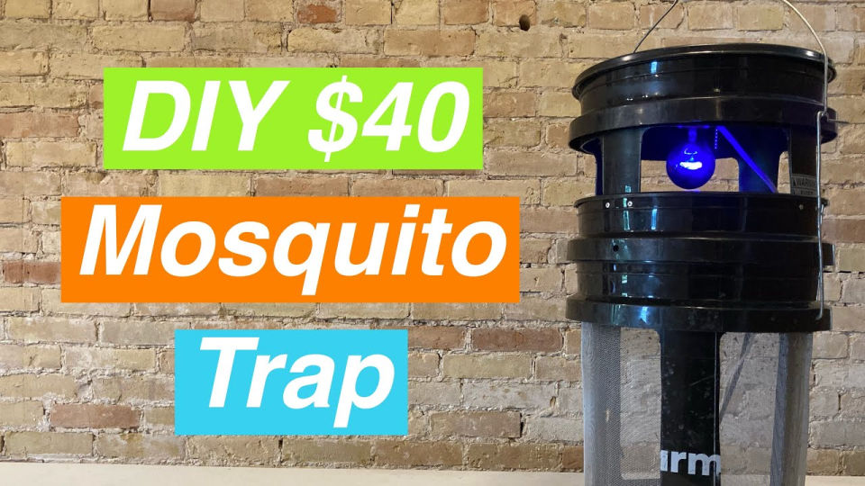DIY Mosquito Trap to Keep Mosquitoes at Bay - Blitsy