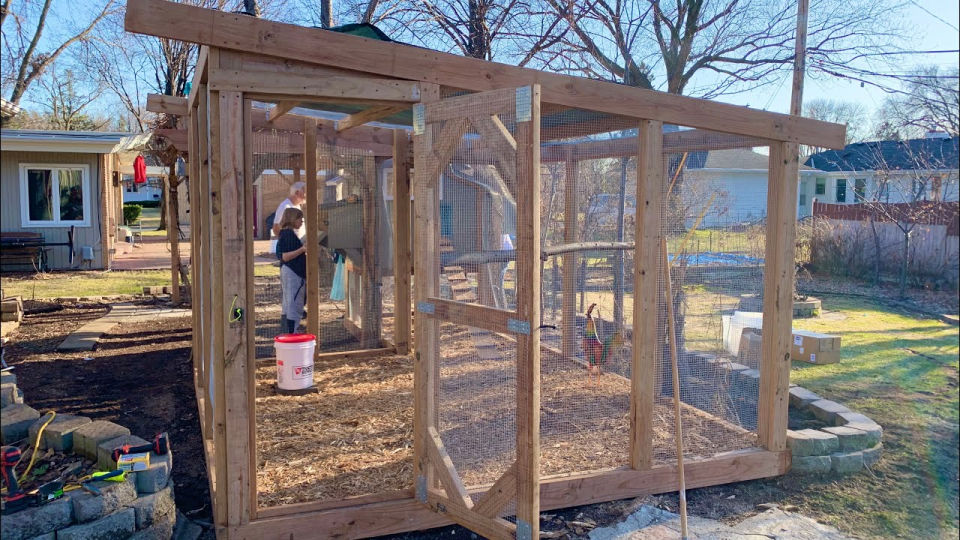 DIY Chicken Run Plans to Build - Blitsy