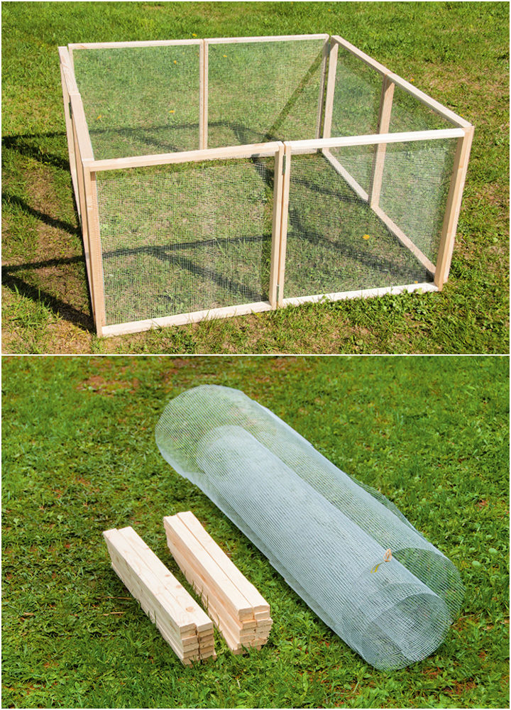 DIY Chicken Run Plans to Build - Blitsy