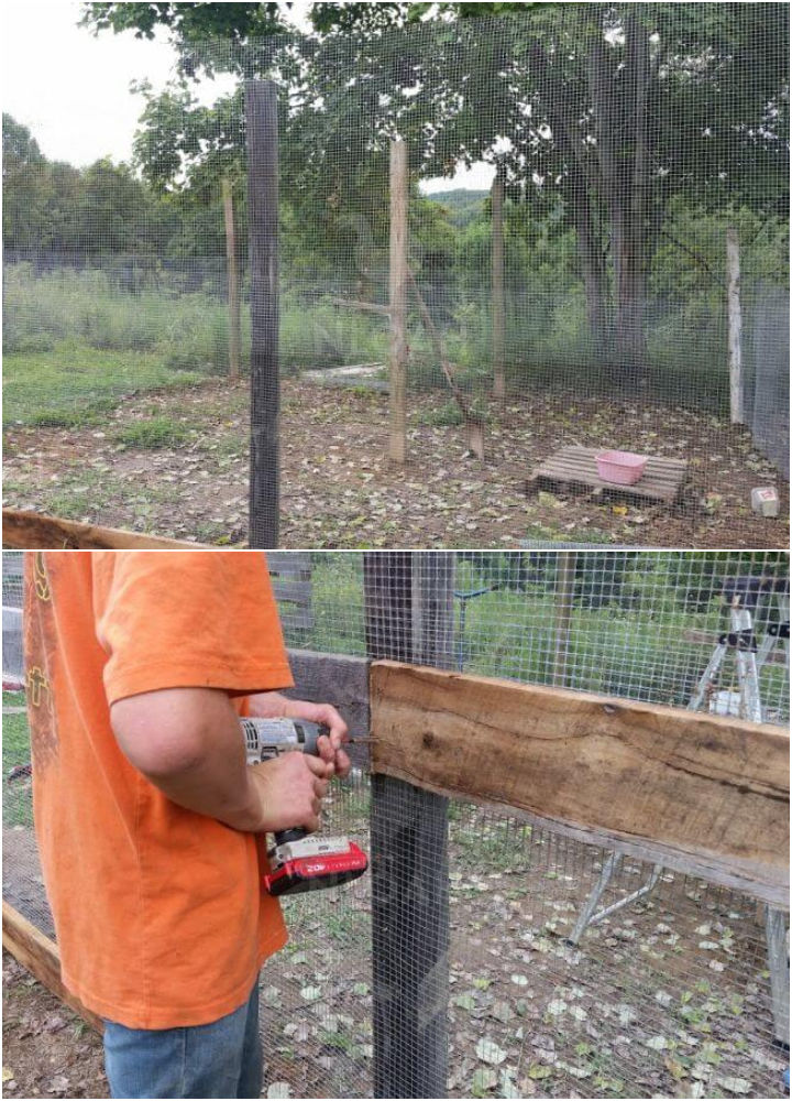 DIY Chicken Run Plans to Build - Blitsy